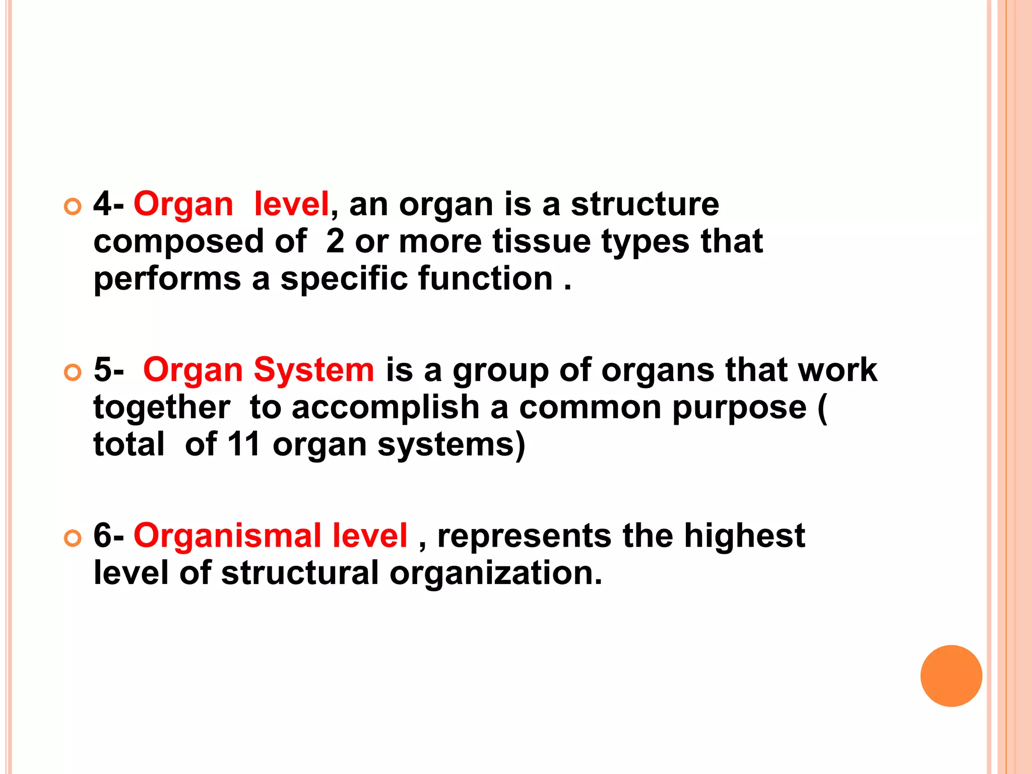 basics of physiology | PPTX