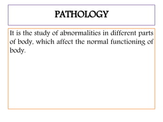 Anatomy & physiology | PPTX