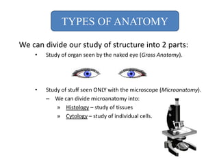 Anatomy & physiology | PPTX