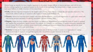 Anatomy & physiology | PPTX