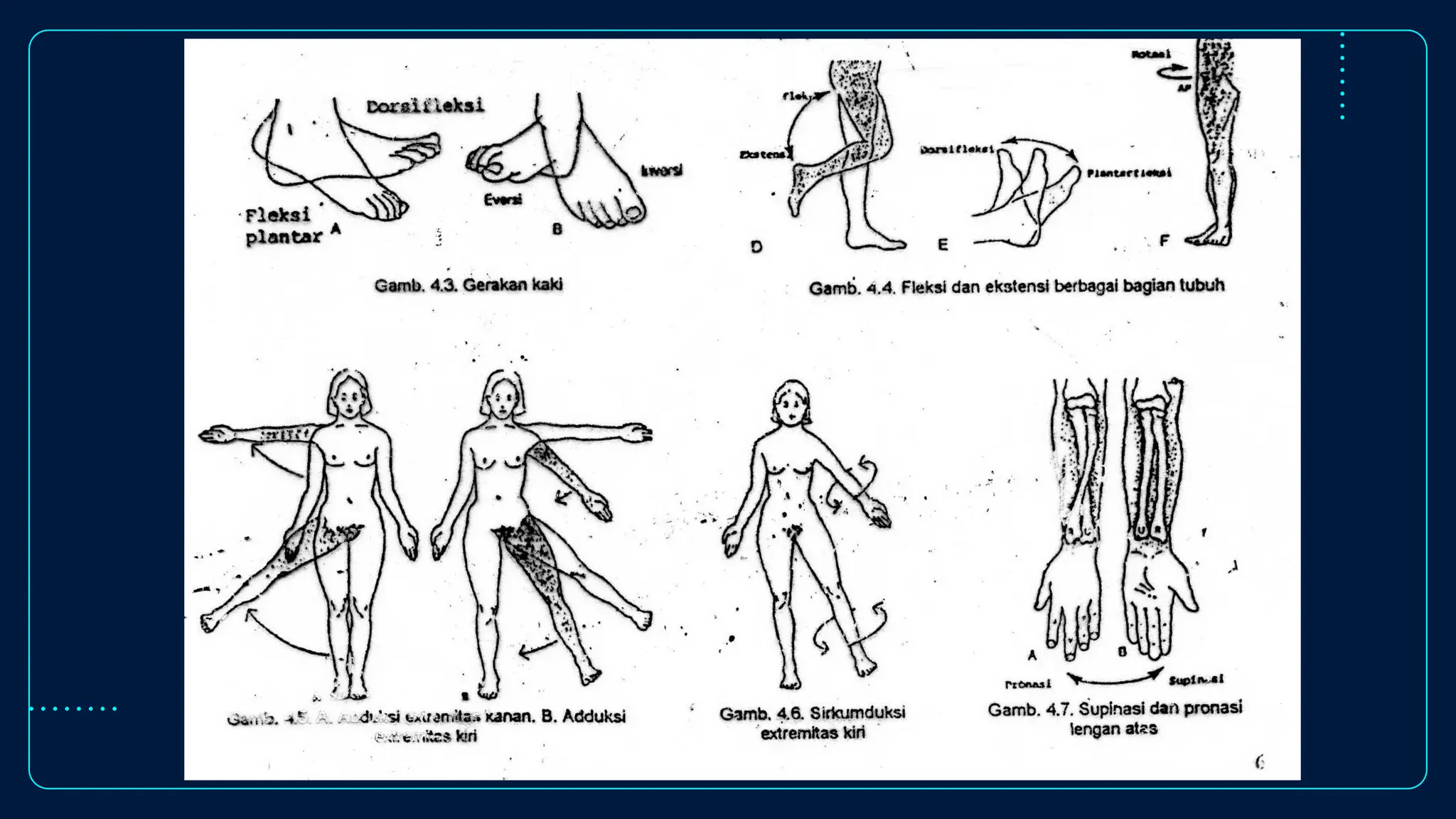 konsep anatomi fisiologi dasar pada manusia | PPTX