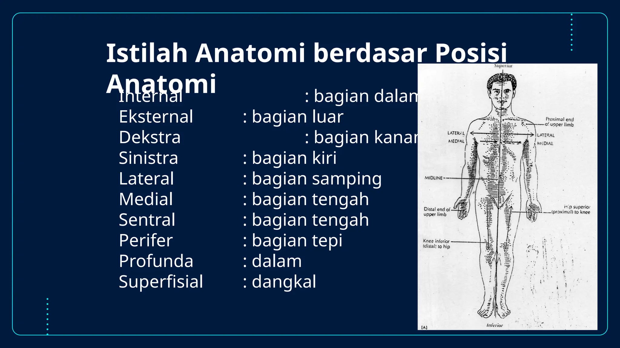 konsep anatomi fisiologi dasar pada manusia | PPTX