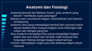 konsep anatomi fisiologi dasar pada manusia | PPTX