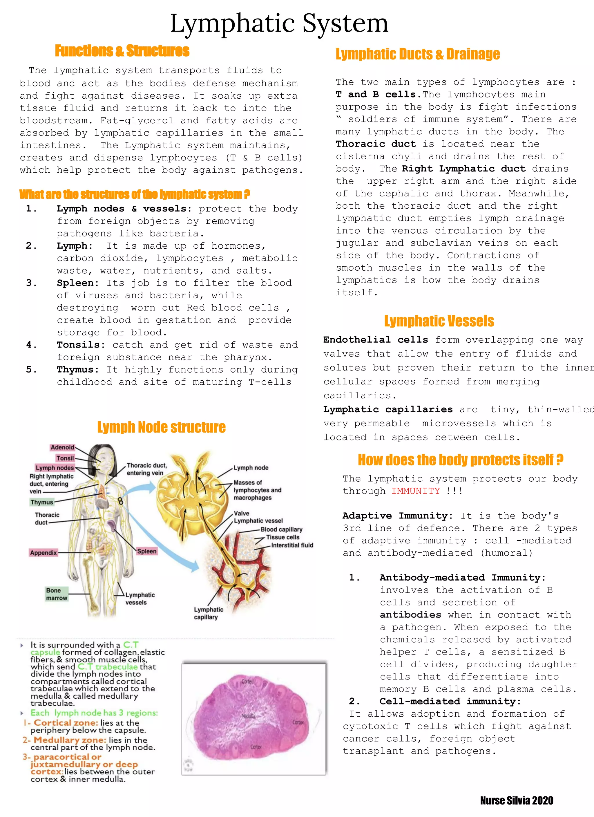 Anatomy & Physiology 1 and 2 Study Guide (1).pdf