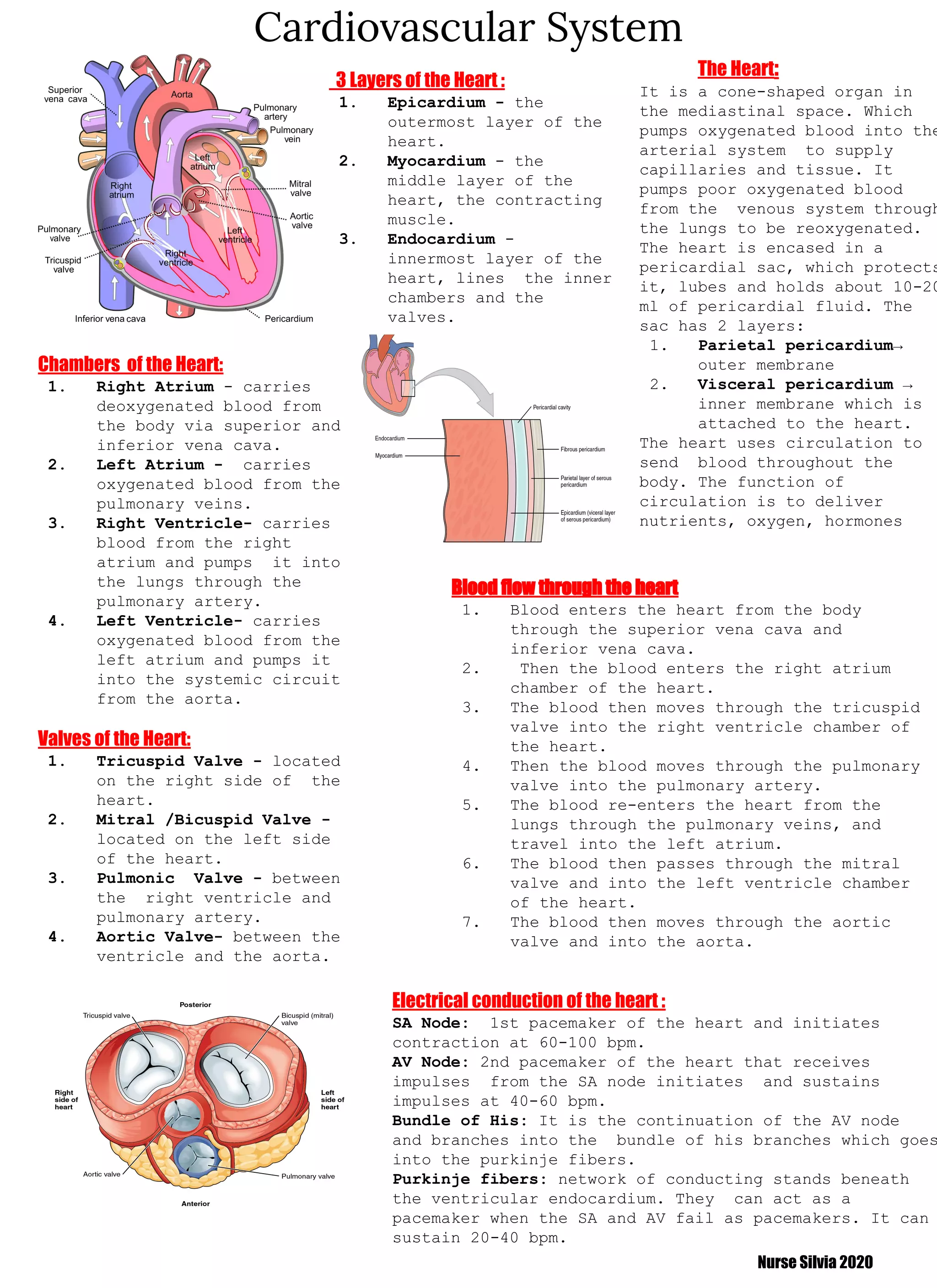 Anatomy & Physiology 1 and 2 Study Guide (1).pdf