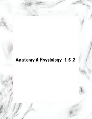 Anatomy & Physiology 1 and 2 Study Guide (1).pdf