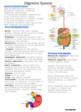 Anatomy & Physiology 1 and 2 Study Guide (1).pdf