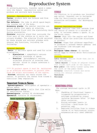 Anatomy & Physiology 1 and 2 Study Guide (1).pdf