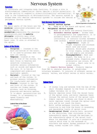 Anatomy & Physiology 1 and 2 Study Guide (1).pdf