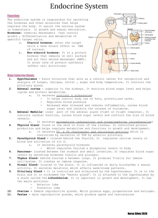 Anatomy & Physiology 1 and 2 Study Guide (1).pdf