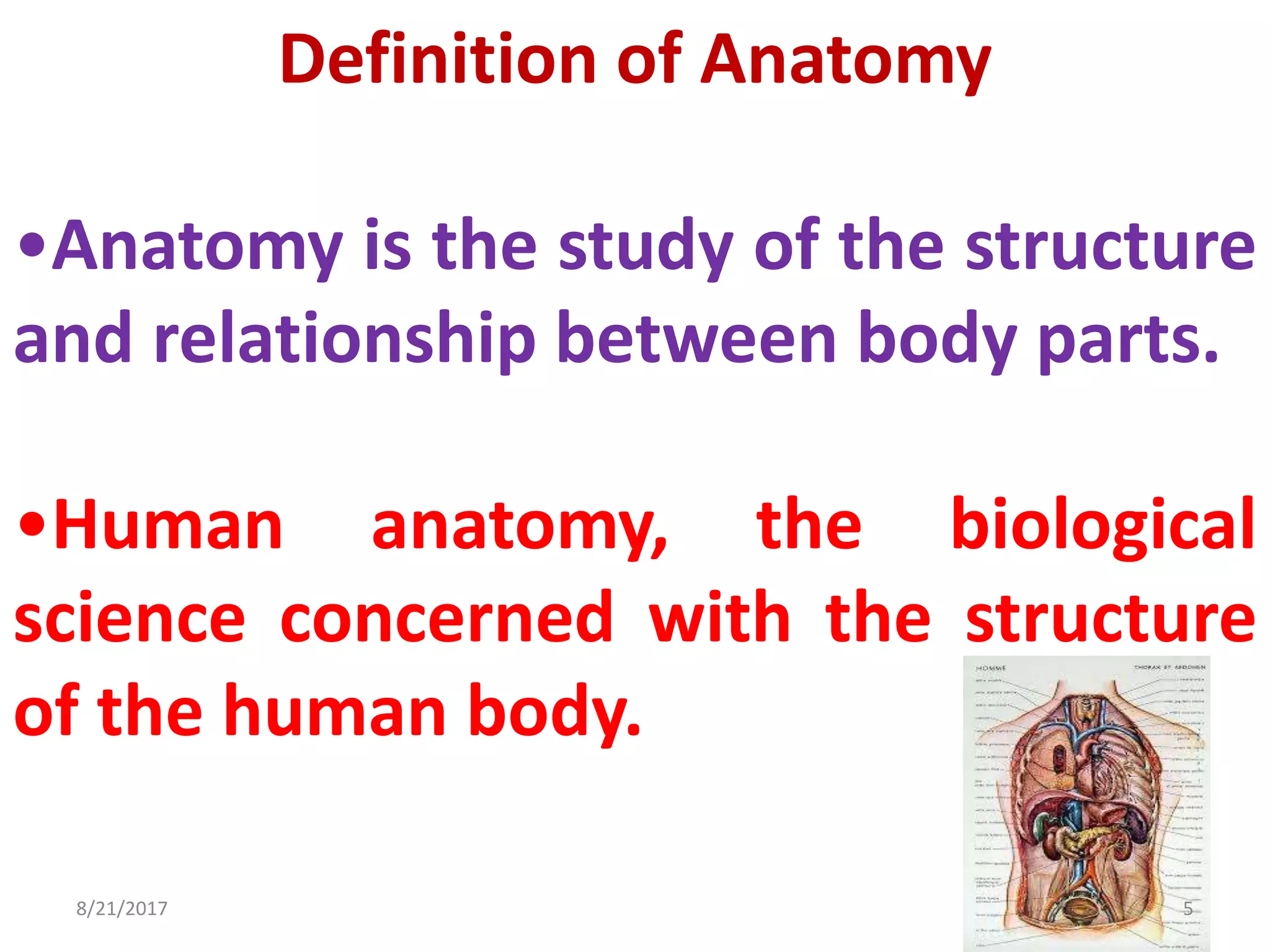 Anatomy and Physiotherapy | PPTX