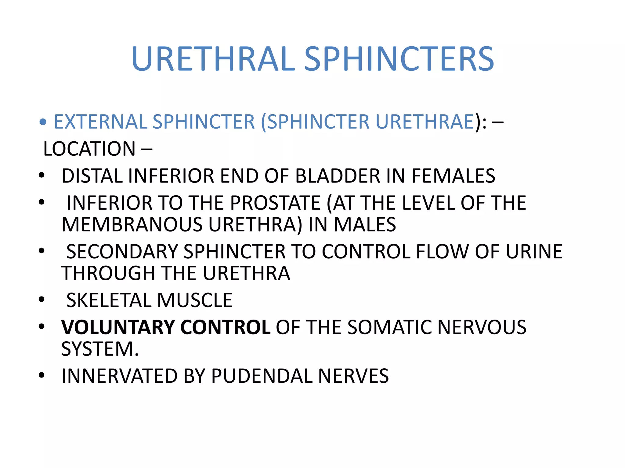 Anatomy,physiology and approach to a patient of neurogenic | PPTX