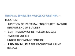 Anatomy,physiology and approach to a patient of neurogenic | PPTX