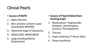 Anatomy, Physiology and Clinical Aspects of Iris.pptx