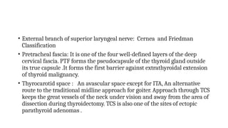 Anatomy Physiology and imaging of thyroid.pptx