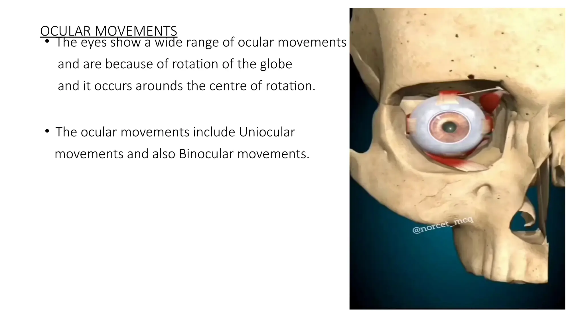 ANATOMY, PHYSIOLOGY AND LAWS OF OCULAR MOVEMENTS.pptx