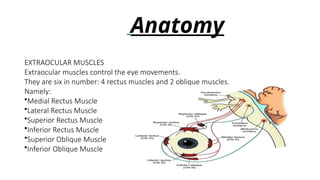 ANATOMY, PHYSIOLOGY AND LAWS OF OCULAR MOVEMENTS.pptx