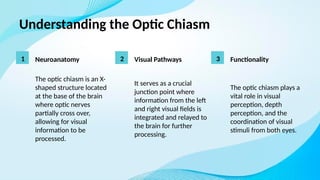 Anatomy, Physiology and lesions of Optic Chaiasma.pptx