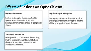 Anatomy, Physiology and lesions of Optic Chaiasma.pptx