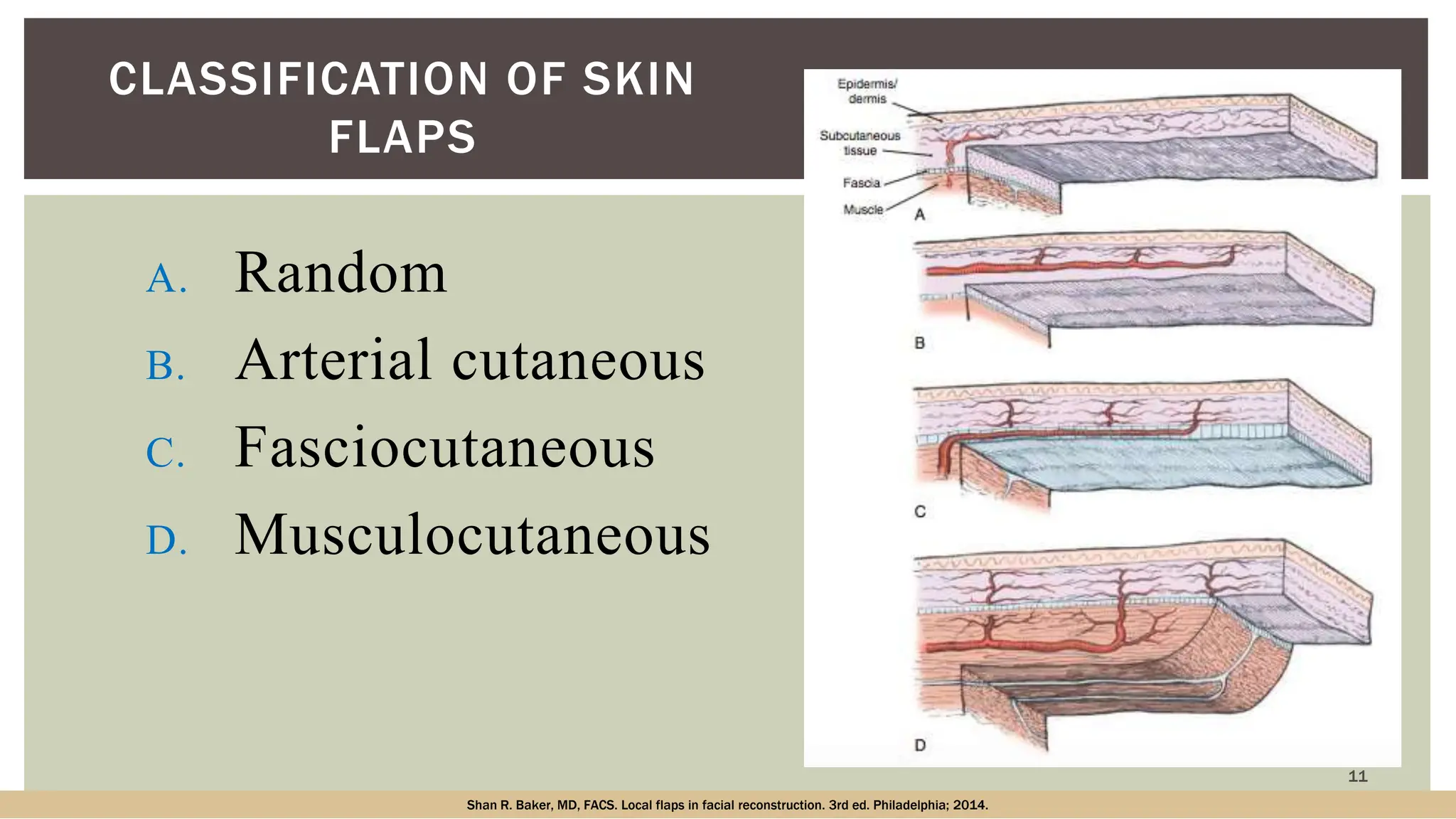 Anatomy, Physiology, Biomechanical skin and wound closure.pptx