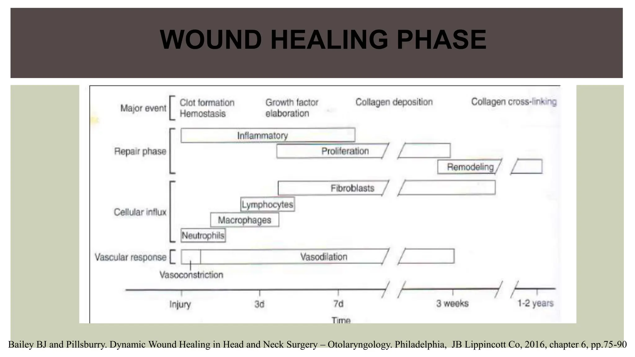 Anatomy, Physiology, Biomechanical skin and wound closure.pptx