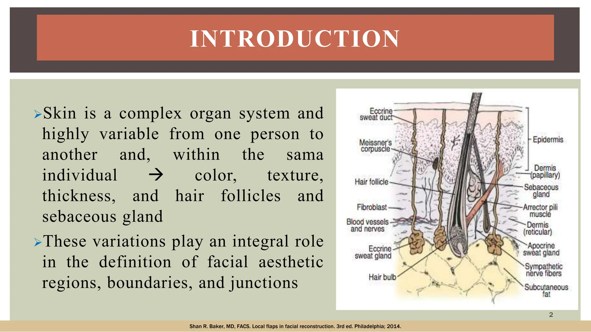Anatomy, Physiology, Biomechanical skin and wound closure.pptx