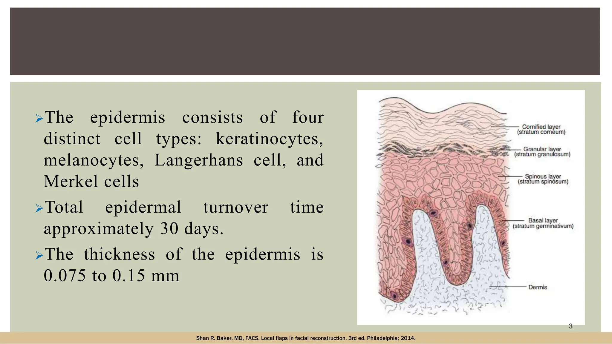 Anatomy, Physiology, Biomechanical skin and wound closure.pptx