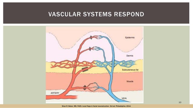 Anatomy, Physiology, Biomechanical skin and wound closure.pptx