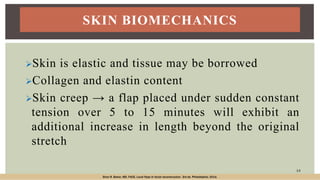 Anatomy, Physiology, Biomechanical skin and wound closure.pptx