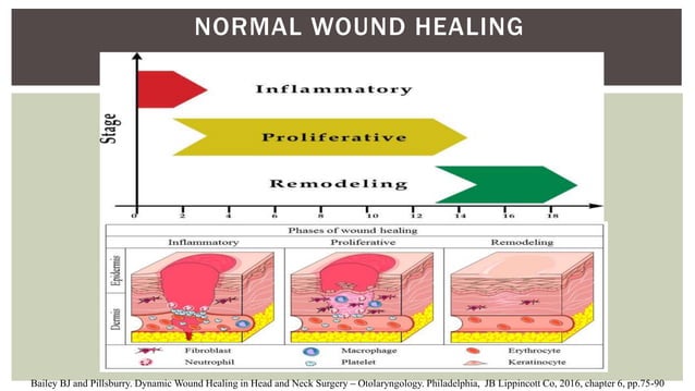 Anatomy, Physiology, Biomechanical skin and wound closure.pptx