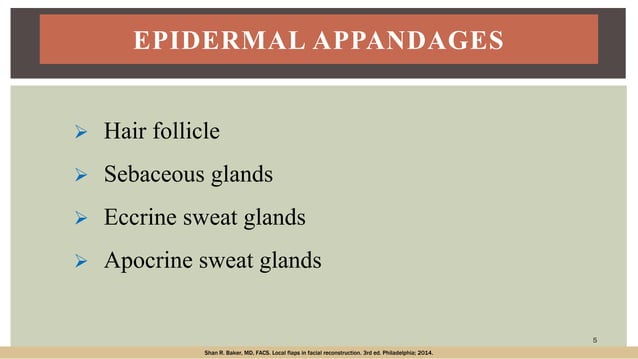 Anatomy, Physiology, Biomechanical skin and wound closure.pptx