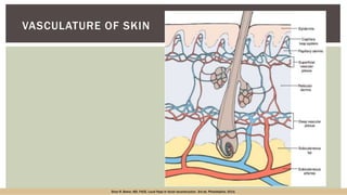 Anatomy, Physiology, Biomechanical skin and wound closure.pptx