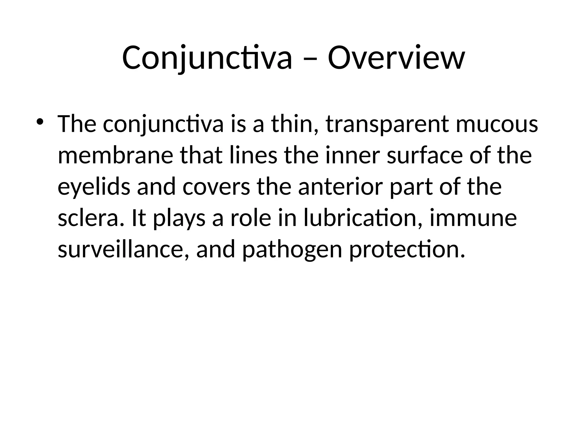 Anatomy Physiology Conjunctiva Cornea Sclera Presentation Pptx