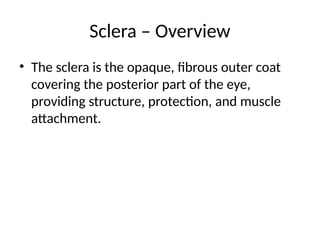 Anatomy_Physiology_Conjunctiva_Cornea_Sclera_Presentation.pptx
