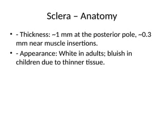 Anatomy_Physiology_Conjunctiva_Cornea_Sclera_Presentation.pptx