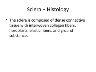 Anatomy_Physiology_Conjunctiva_Cornea_Sclera_Presentation.pptx