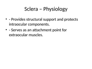 Anatomy_Physiology_Conjunctiva_Cornea_Sclera_Presentation.pptx