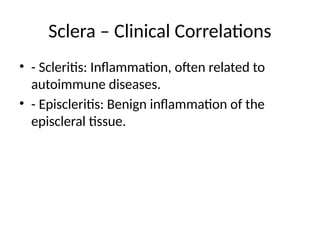 Anatomy_Physiology_Conjunctiva_Cornea_Sclera_Presentation.pptx