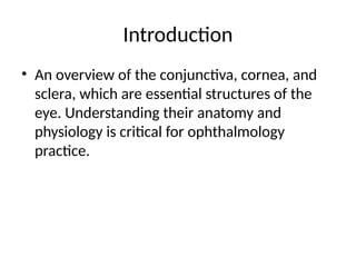 Anatomy_Physiology_Conjunctiva_Cornea_Sclera_Presentation.pptx