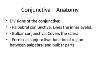 Anatomy_Physiology_Conjunctiva_Cornea_Sclera_Presentation.pptx