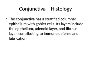 Anatomy_Physiology_Conjunctiva_Cornea_Sclera_Presentation.pptx
