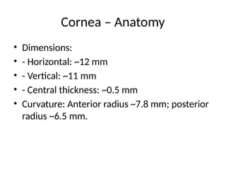 Anatomy_Physiology_Conjunctiva_Cornea_Sclera_Presentation.pptx