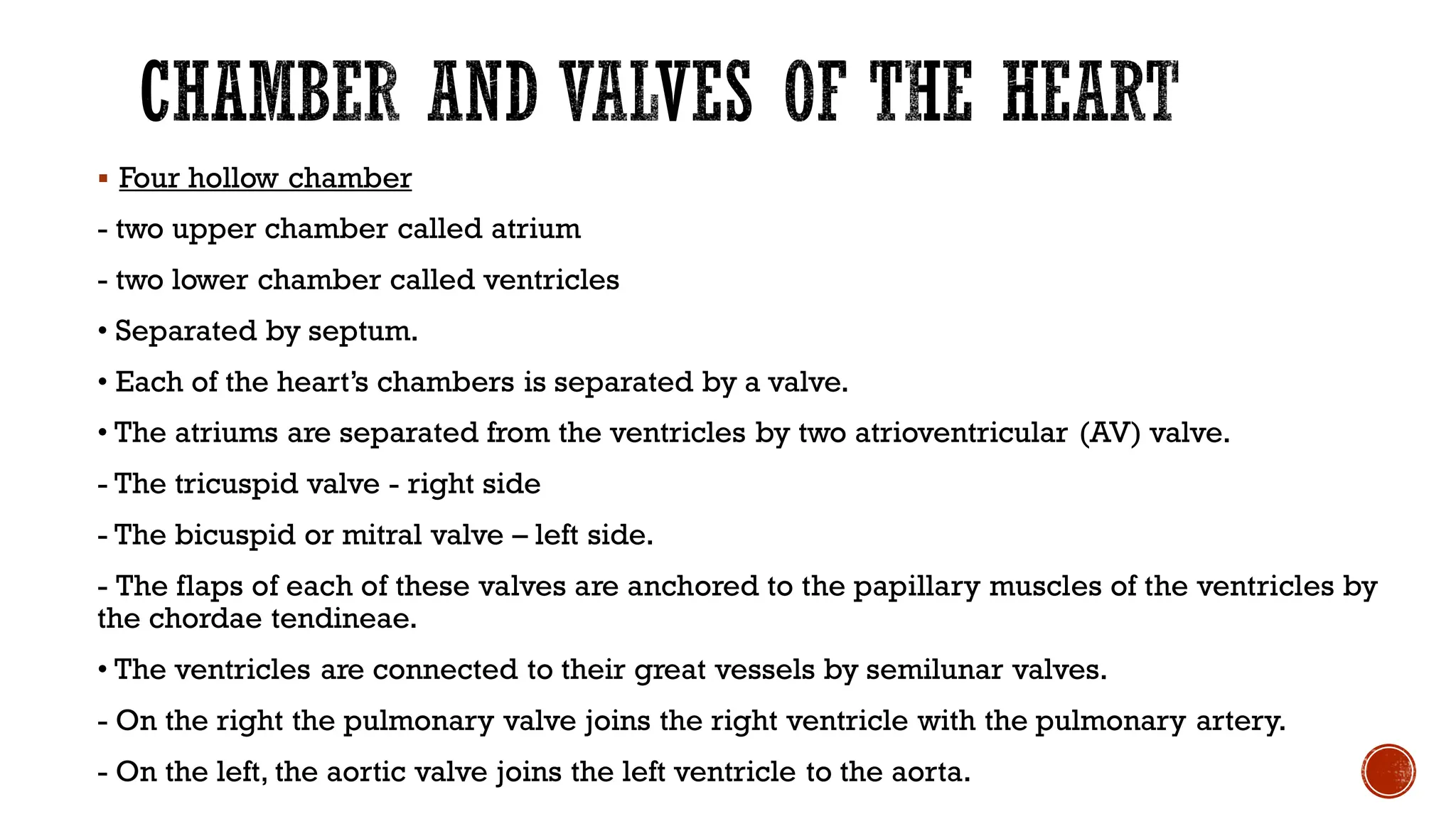 Anatomy & PHYSIOLOGY Cardiovascular System | PDF
