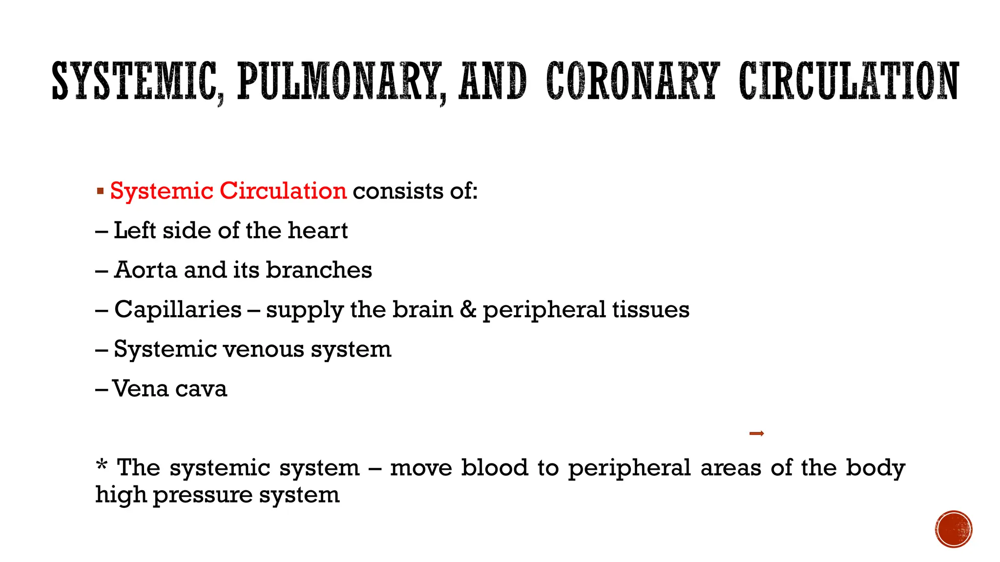 Anatomy & PHYSIOLOGY Cardiovascular System | PDF