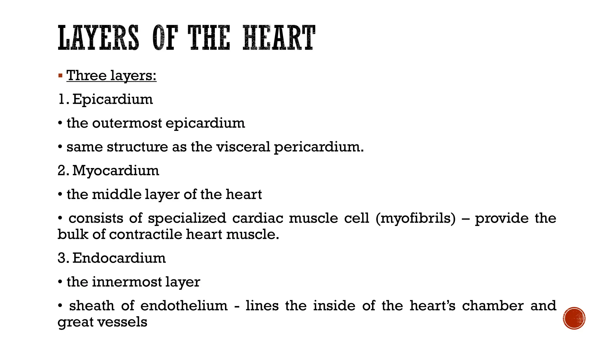 Anatomy & PHYSIOLOGY Cardiovascular System | PDF
