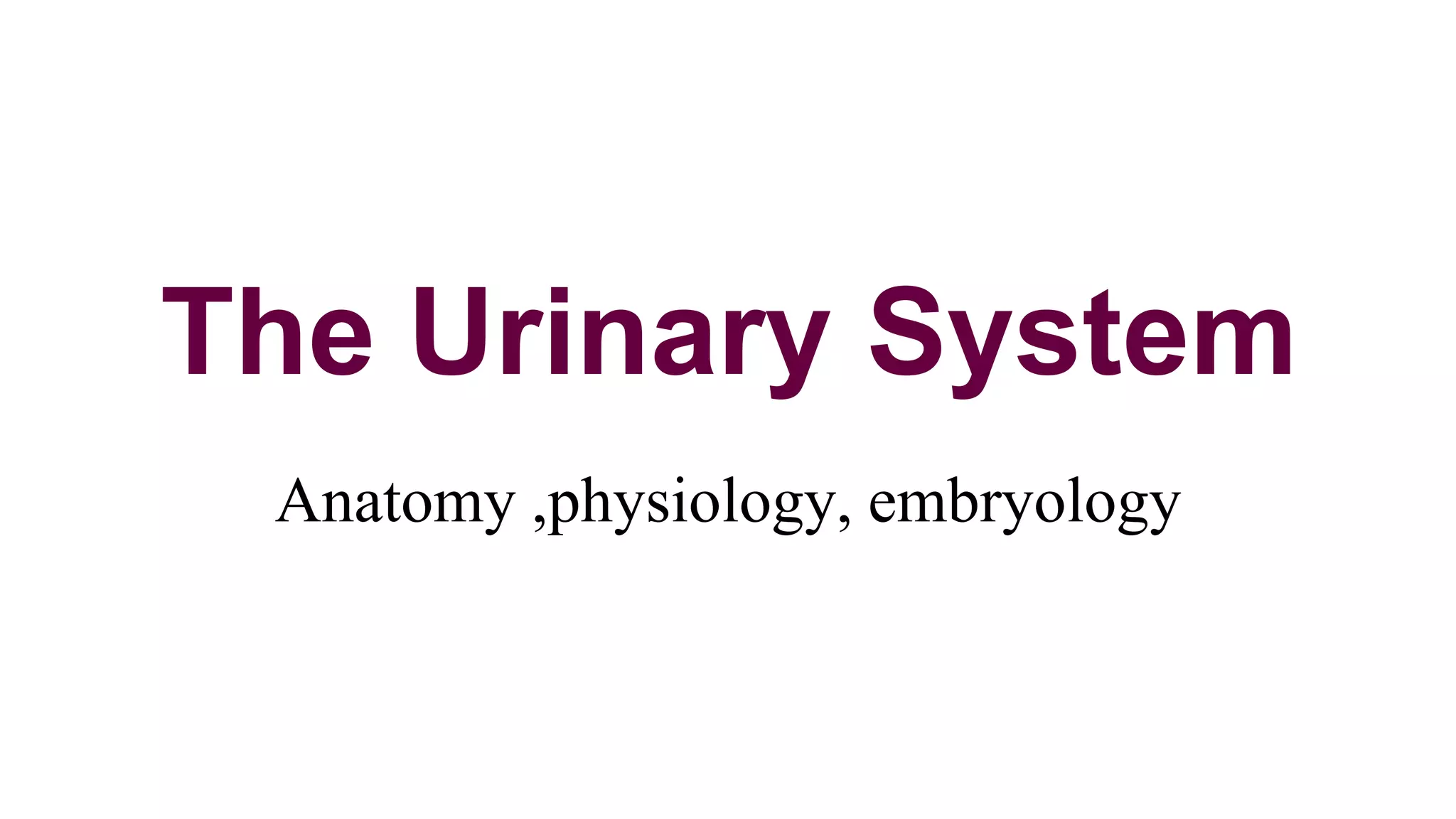 Anatomy physiology and embryology of urinary tract | PPTX