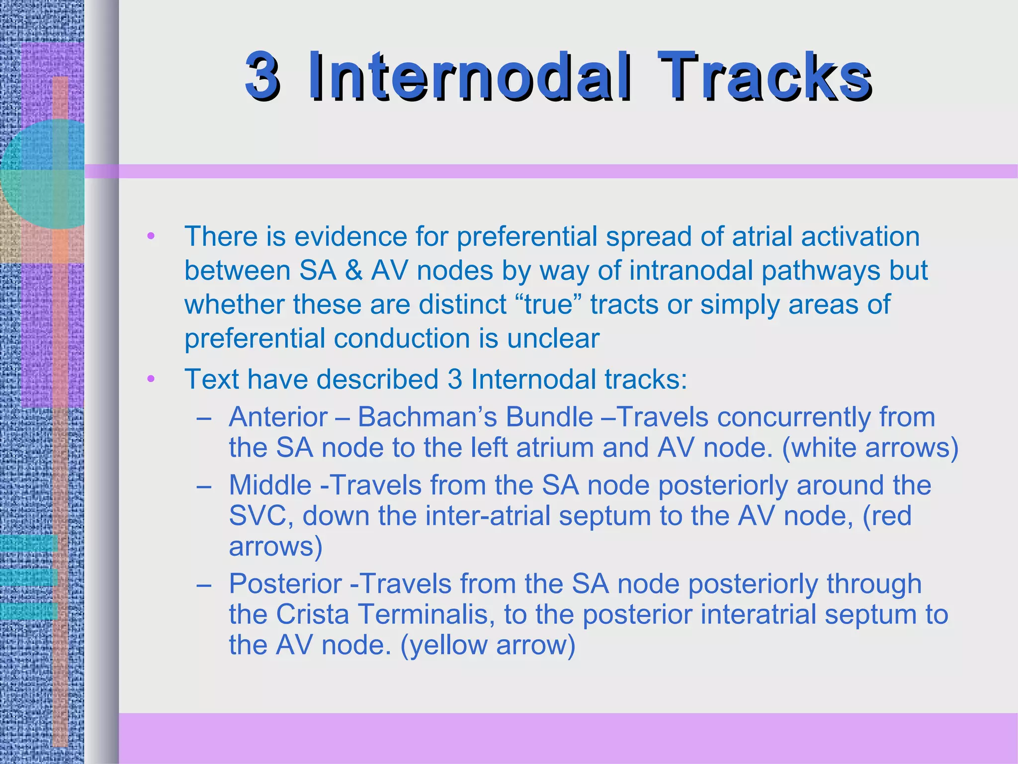 Anatomy & physiology for the EP professional part II 8.4.14