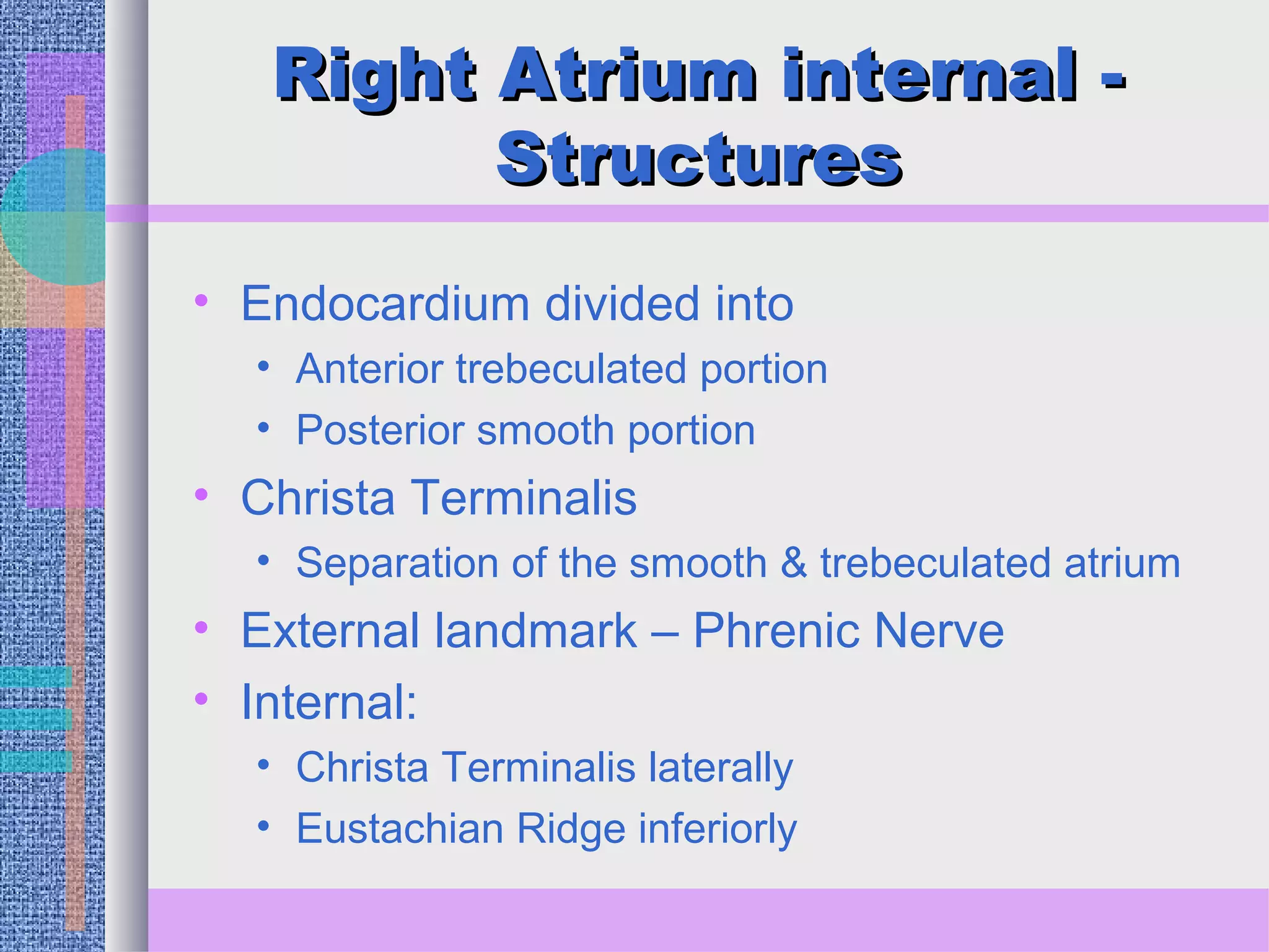 Anatomy & physiology for the EP professional part II 8.4.14