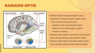 Anatomy & Physiology in Neuro-Ophthalmology.pptx
