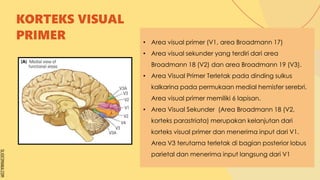 Anatomy & Physiology in Neuro-Ophthalmology.pptx